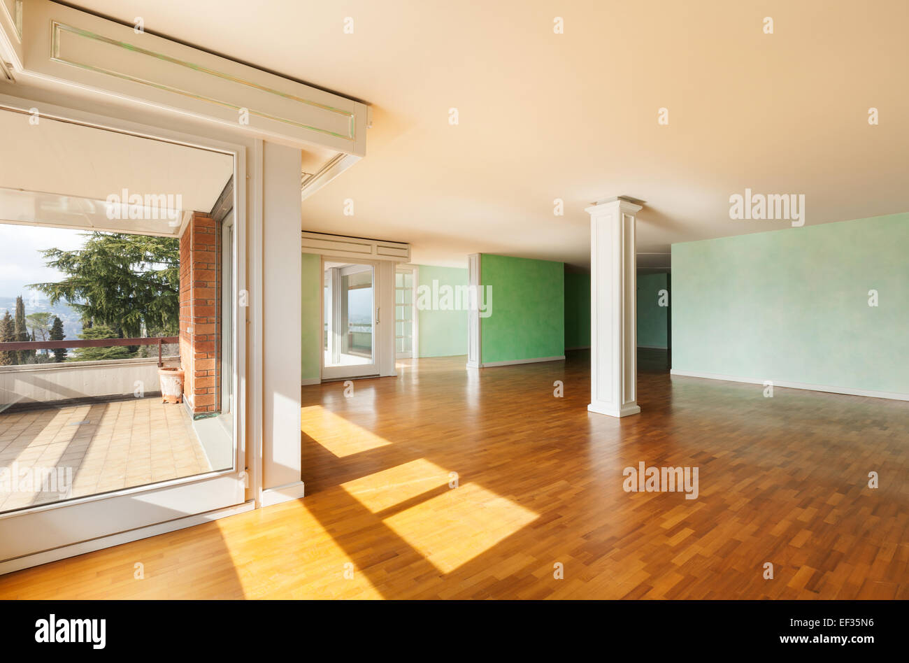 Interior, apartment empty in style classic, large room Stock Photo - Alamy