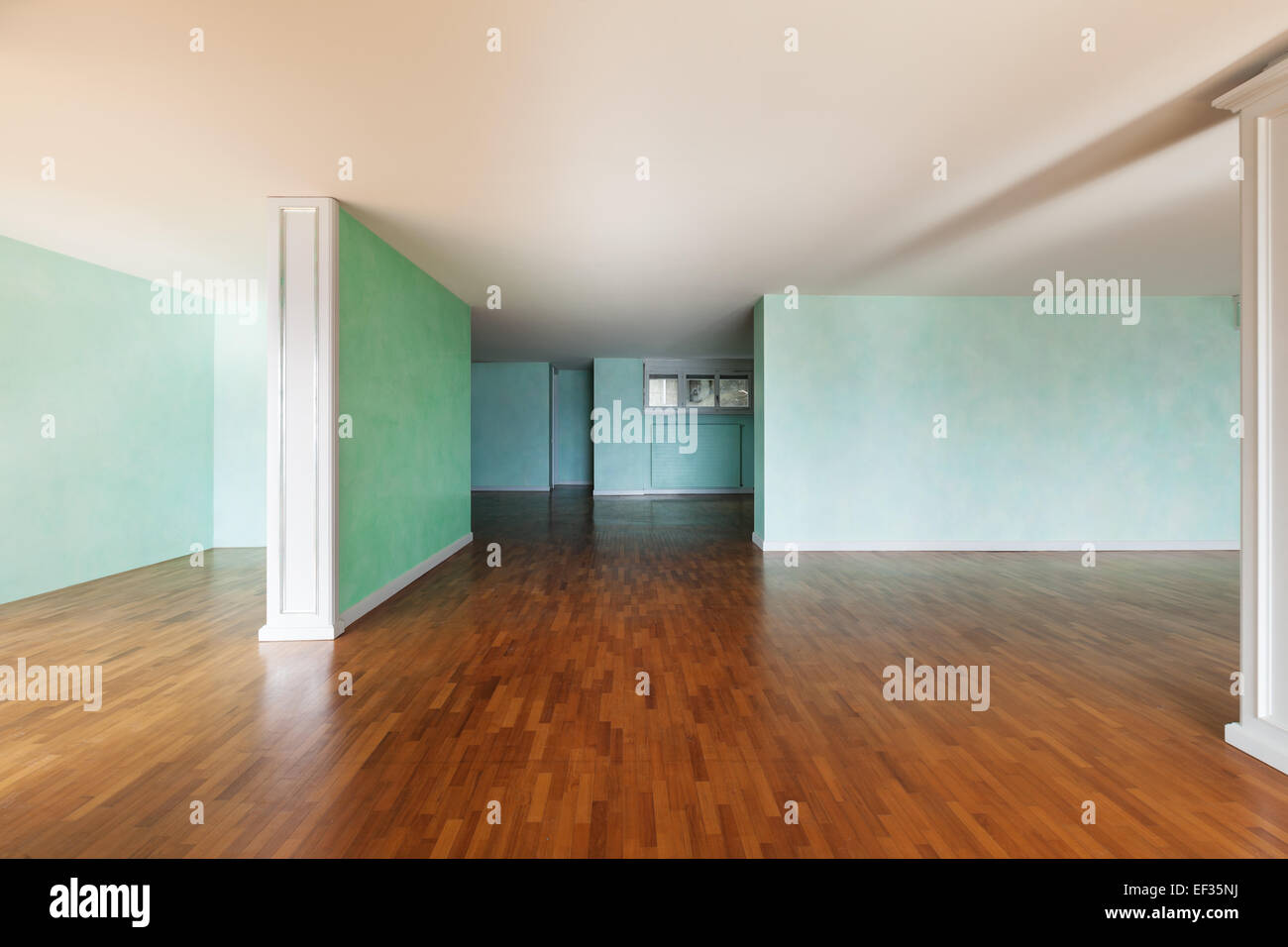 Interior, empty apartment in style classic, large room Stock Photo - Alamy