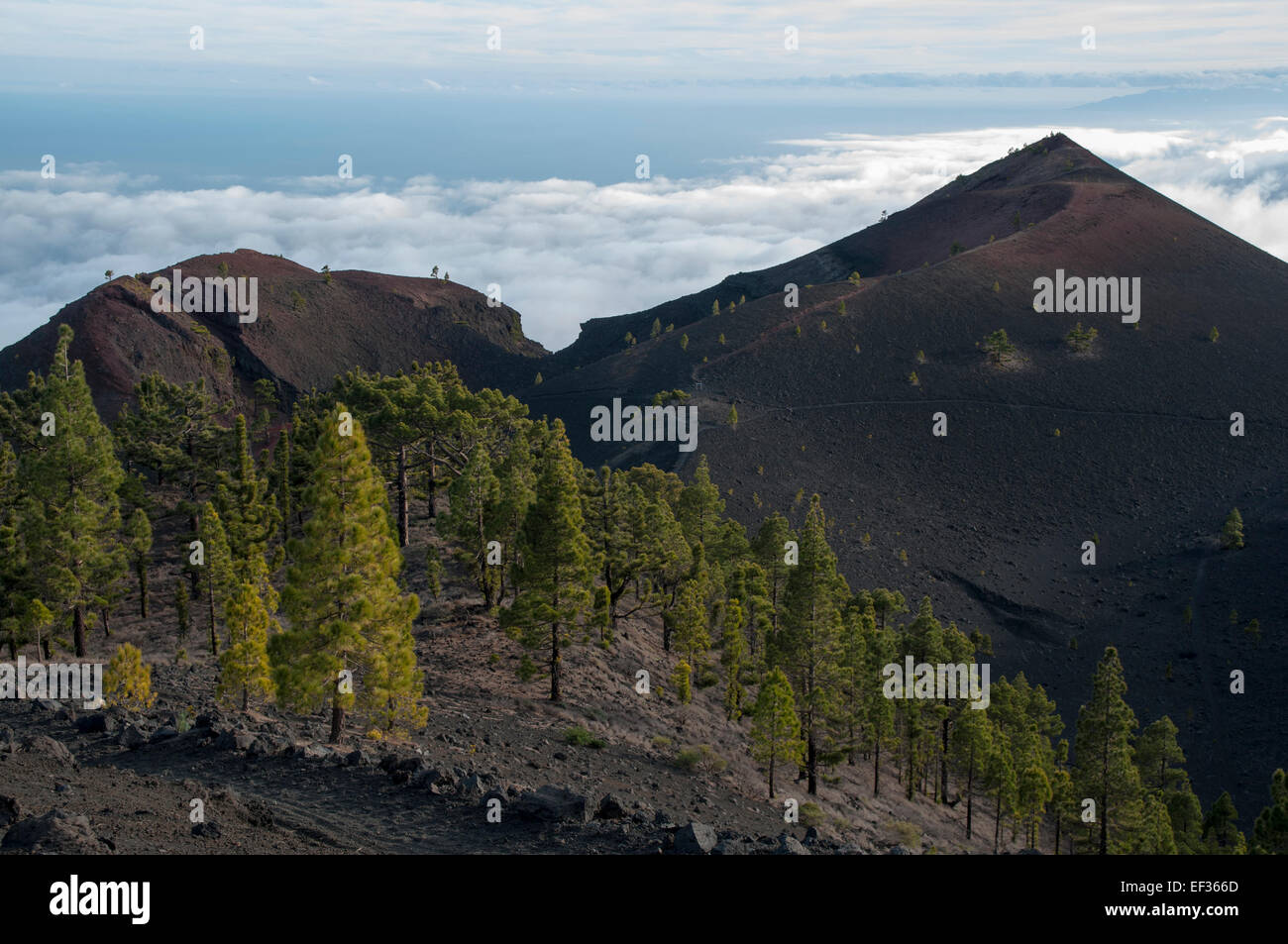 19 km long Ruta de los volcanes (volcano track) leads hikers on Canary ...