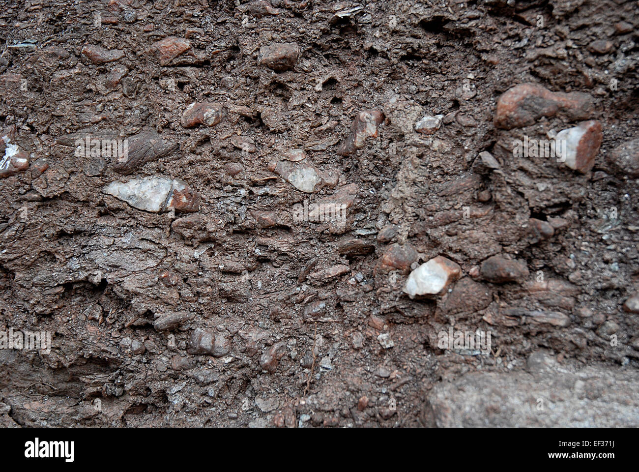 Conglomerato hi-res stock photography and images - Alamy