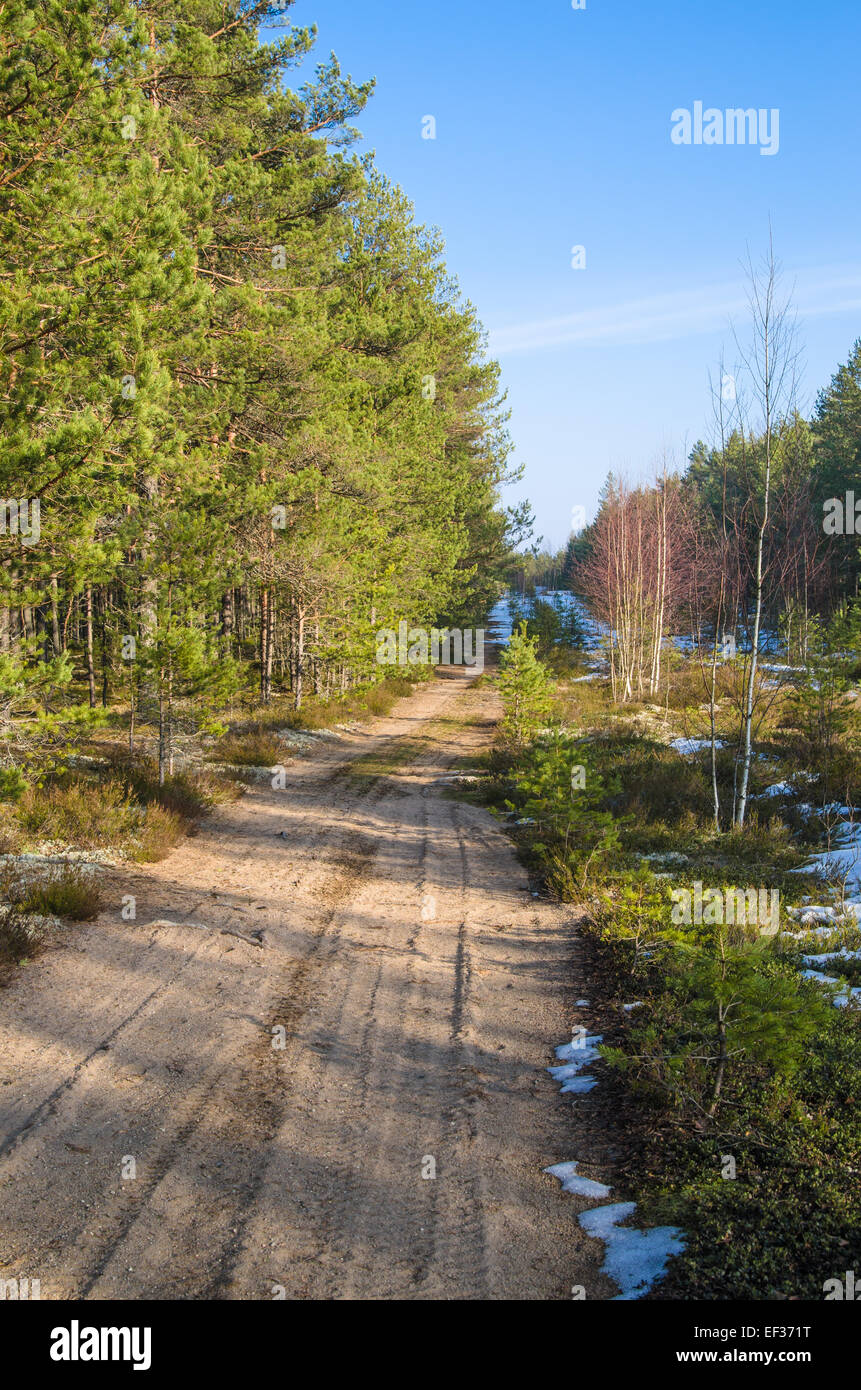 Spring landscape with forest road Stock Photo - Alamy