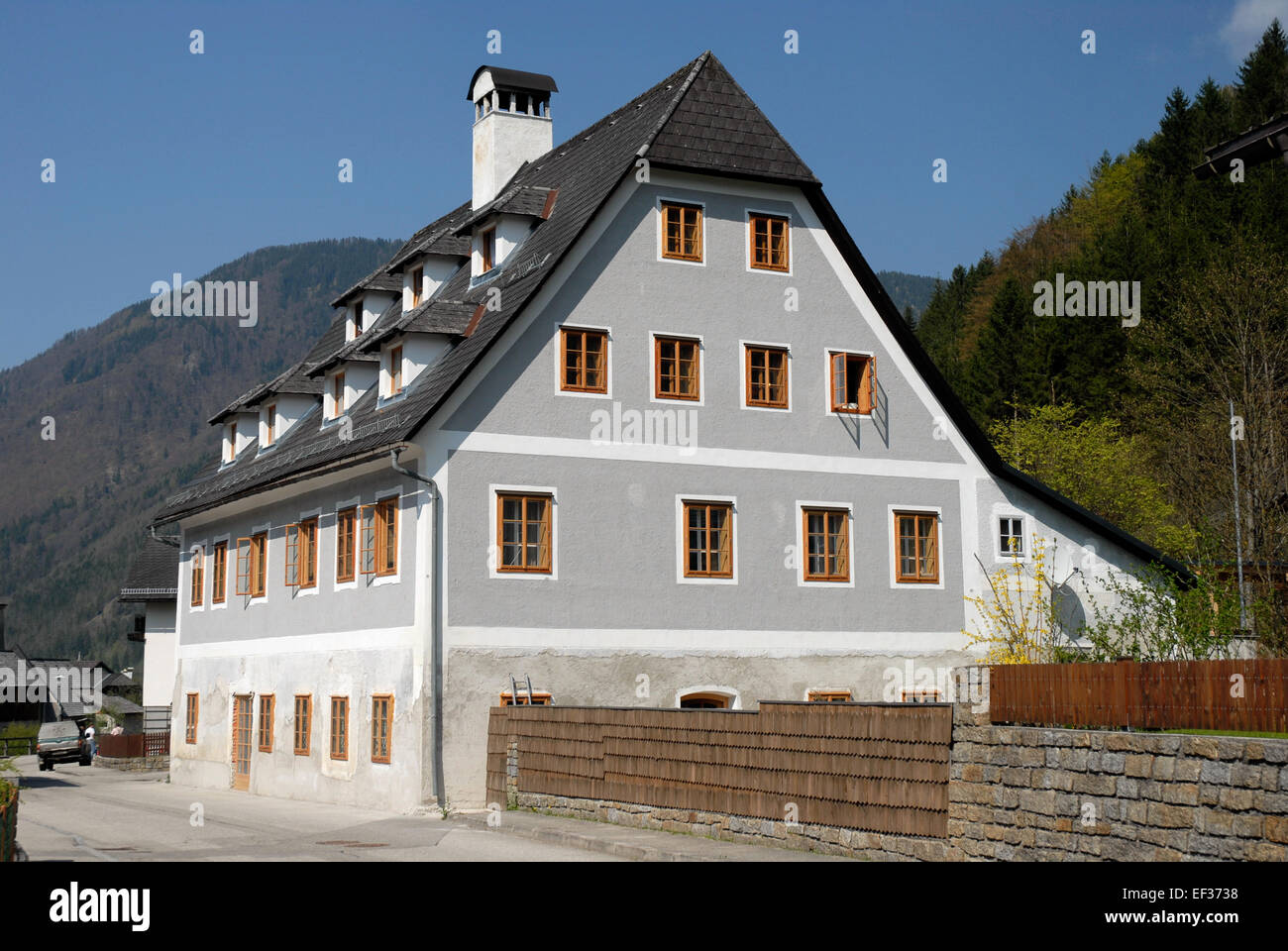 Former Hammerherrenhaus at Dornleiten 18, Austria, is an old manor ...