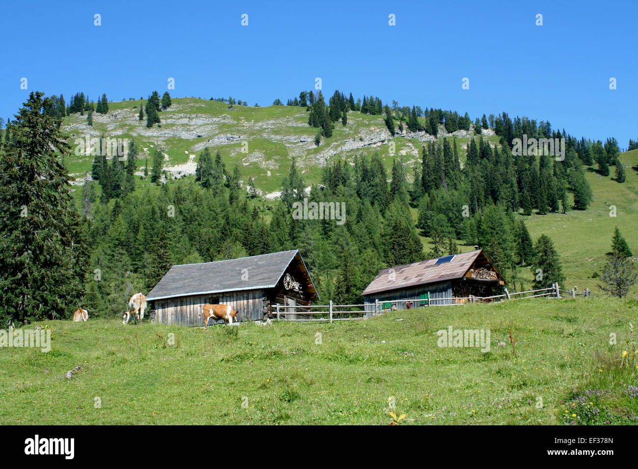 Feldl from Stoiringalm, Austria, alpine meadow, highland landscape ...