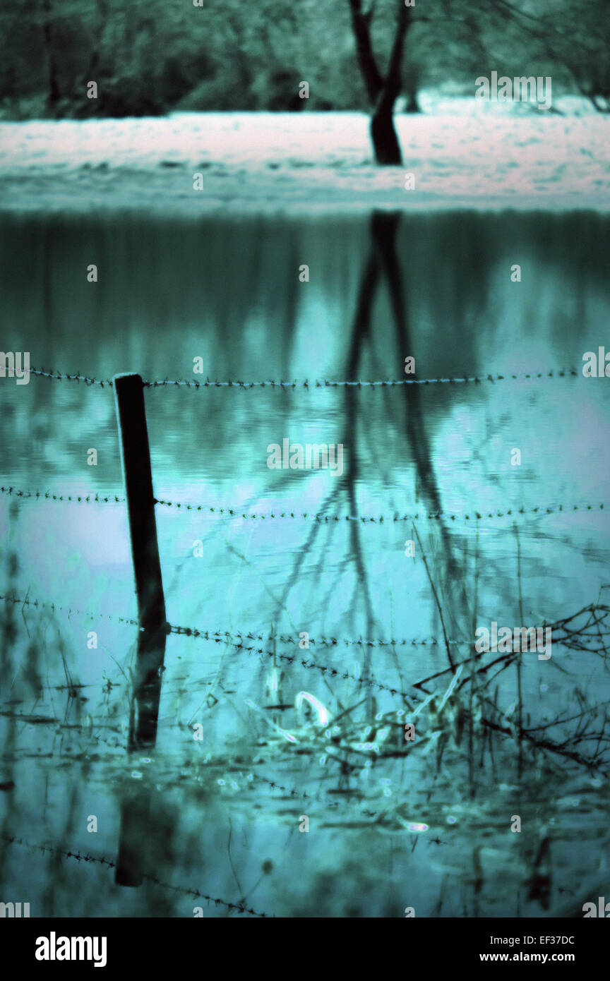 barbed wire fencing Stock Photo - Alamy