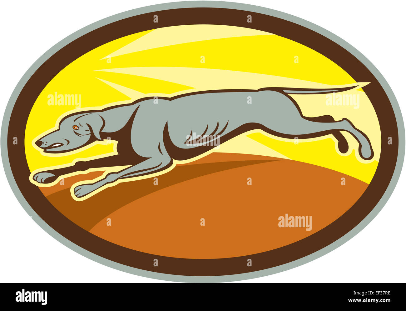 Greyhound dog cartoon illustration hi-res stock photography and images ...