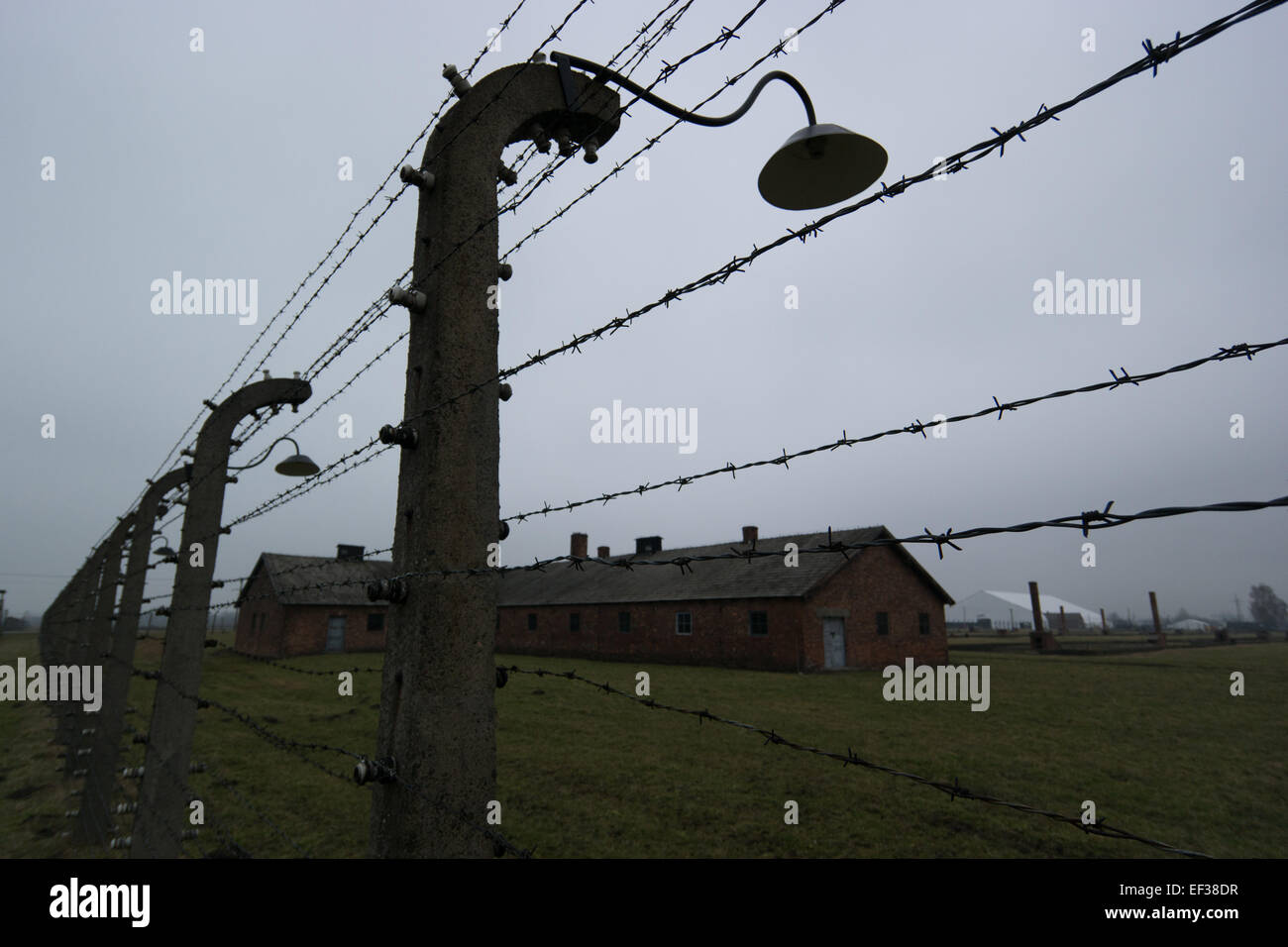 Liberation auschwitz 1945 hi-res stock photography and images - Alamy
