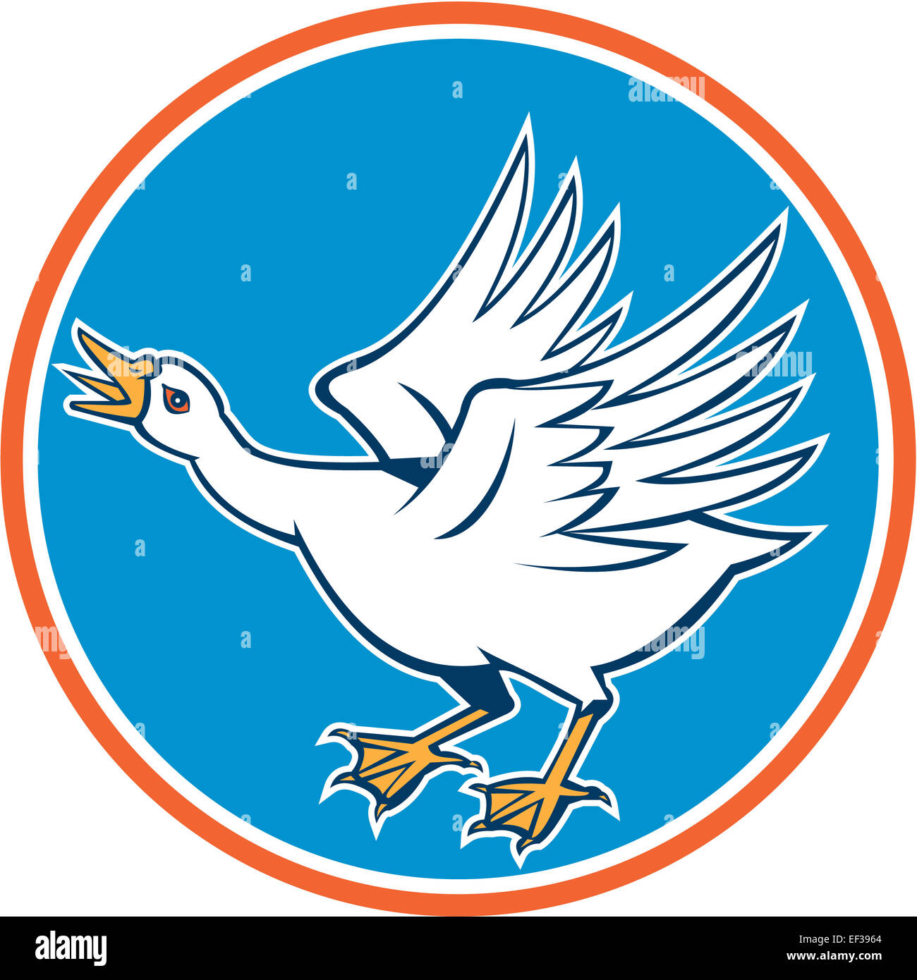 Illustration of an angry swan attacking viewed from the side set inside ...