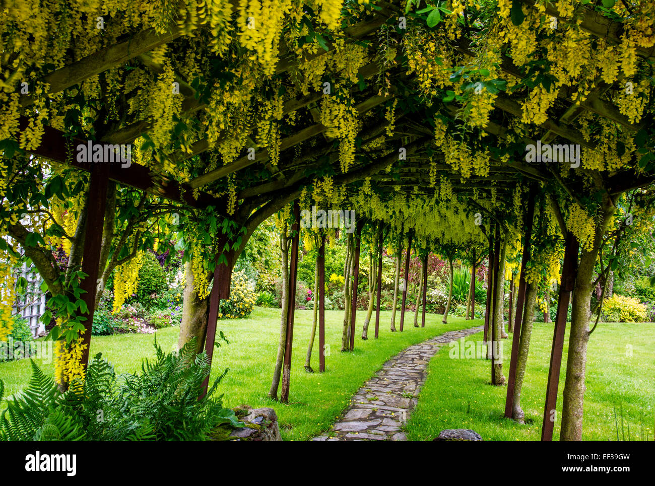 Garden tunnel hi-res stock photography and images - Alamy