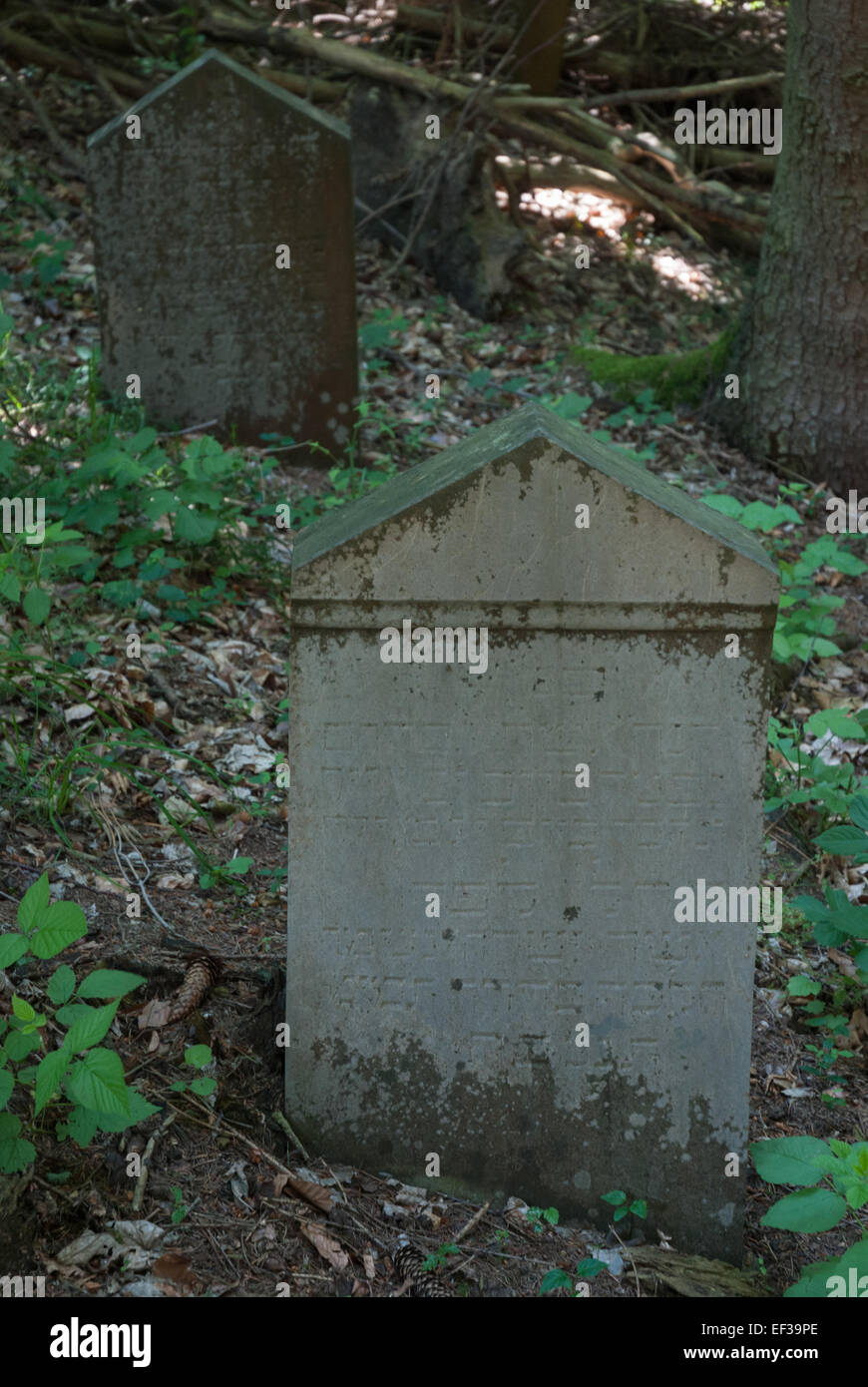 The Jewish cemetery in Cramberg, a historical site, represents the ...