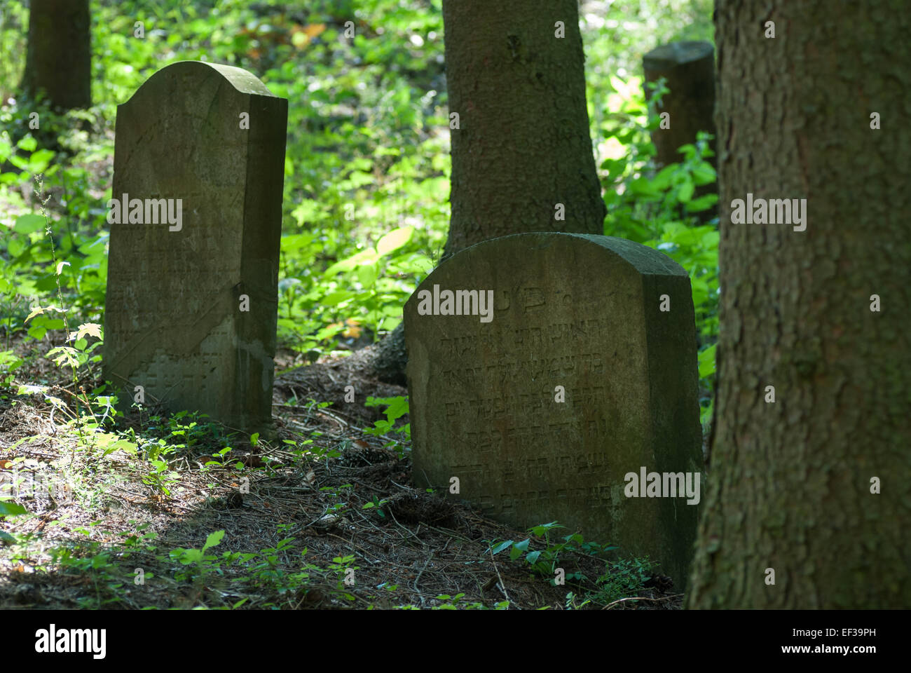 The Jüdischer Friedhof in Cramberg, Germany, is a Jewish cemetery that ...