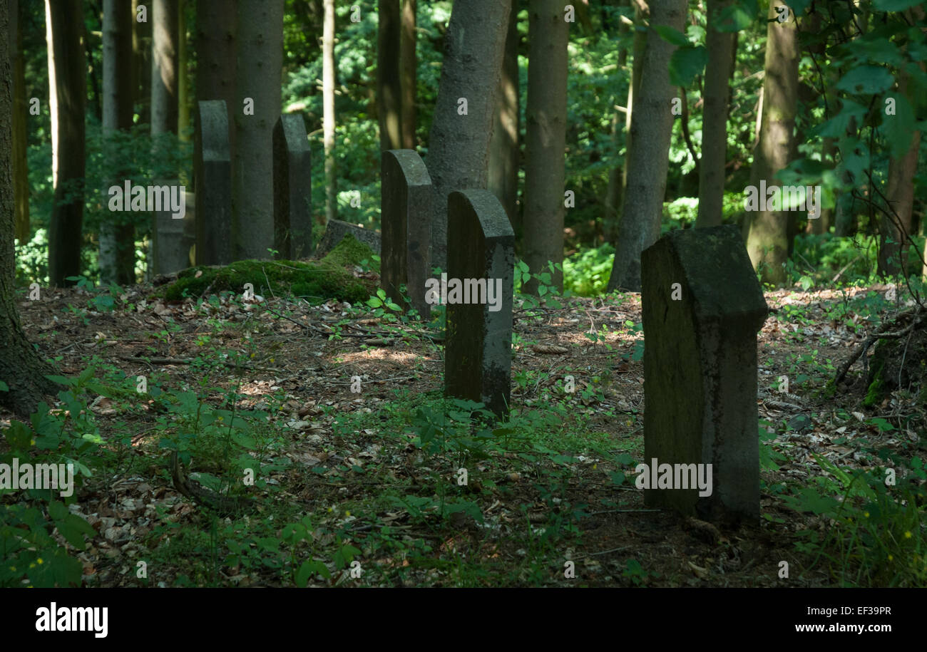 History of cramberg hi-res stock photography and images - Alamy