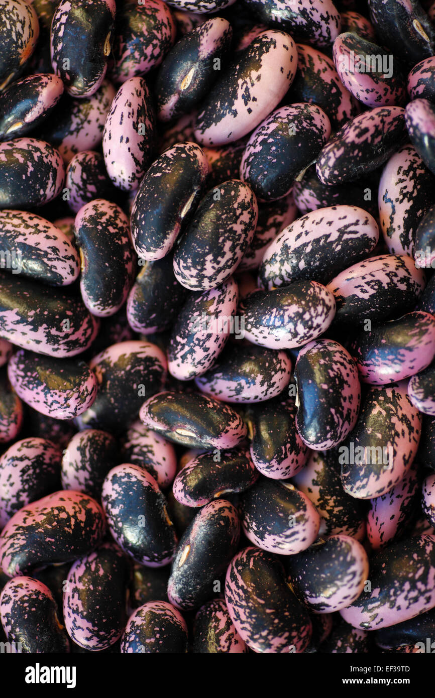 Runner bean seeds Stock Photo - Alamy