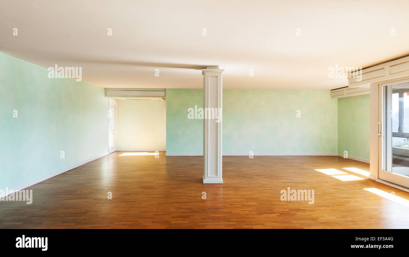 Interior, empty apartment classic, large room with windows Stock Photo ...