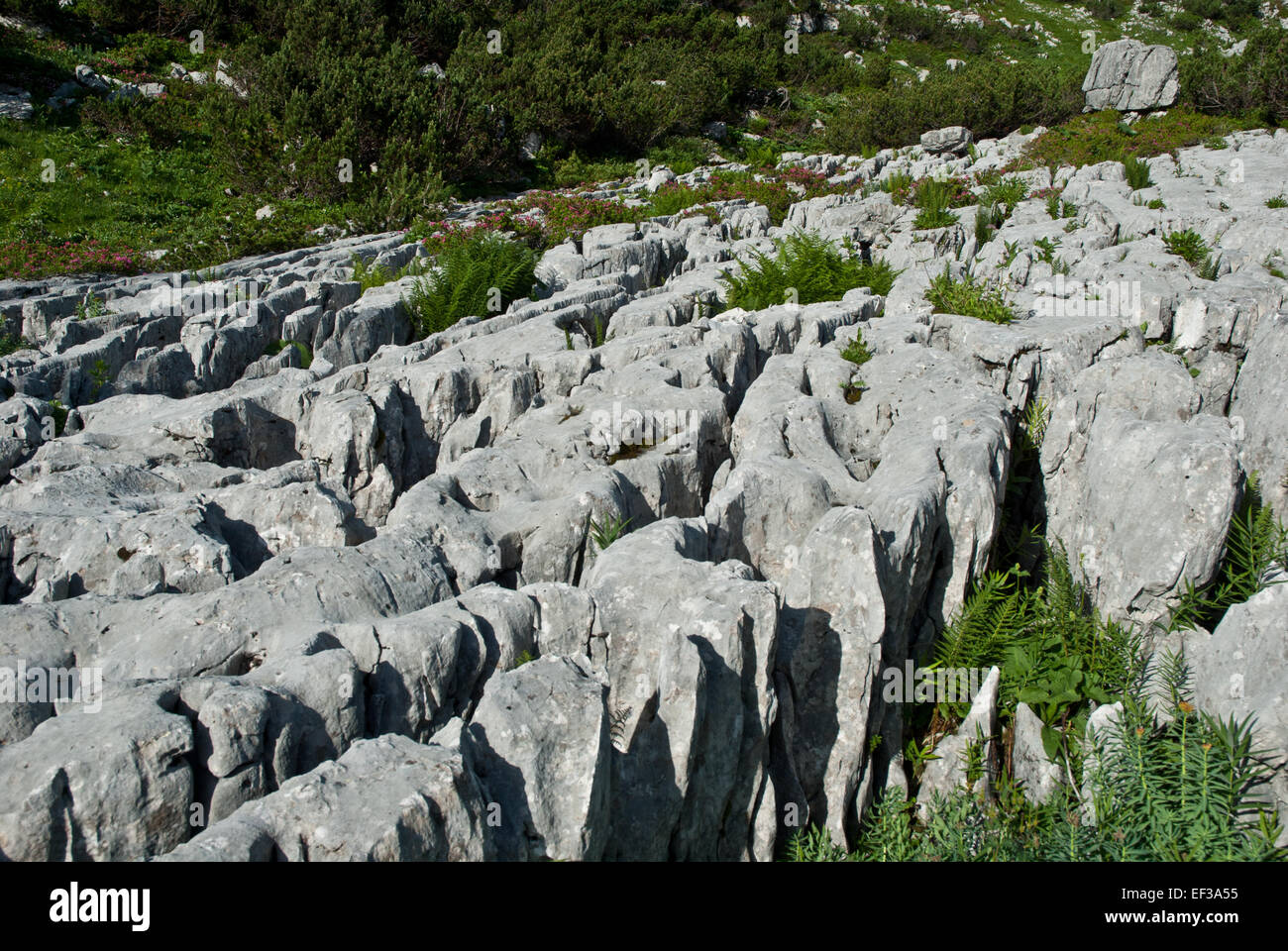 Karren mountain hi-res stock photography and images - Alamy