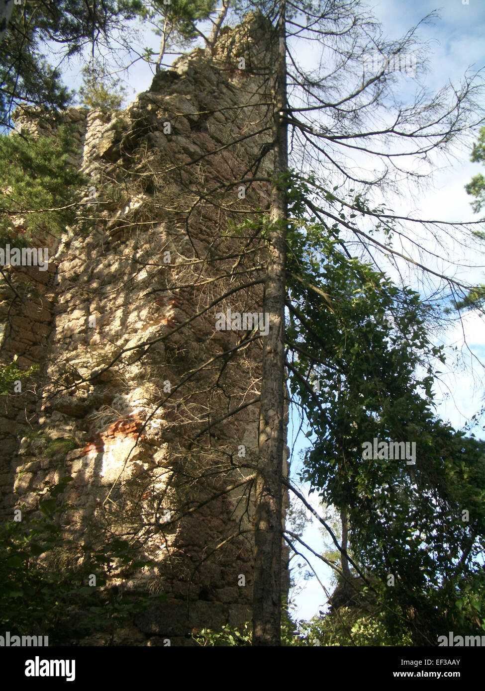 Klingenberg bergfried hi-res stock photography and images - Alamy