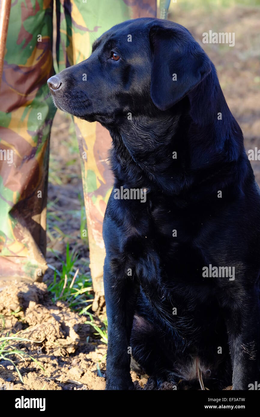 Working at shoot hi-res stock photography and images - Alamy