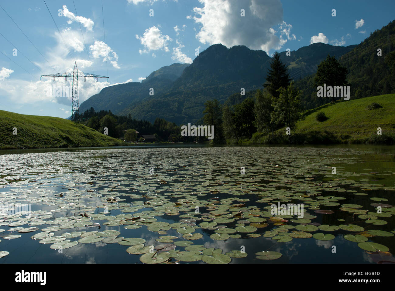 Krummsee in Kramsach, Austria, featuring a beautiful abundance of water ...