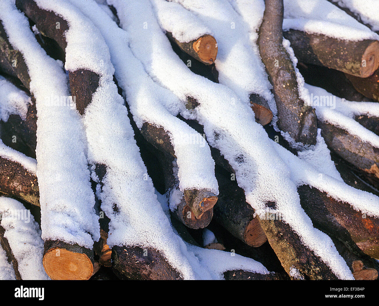 stacked logs covered in snow Stock Photo - Alamy