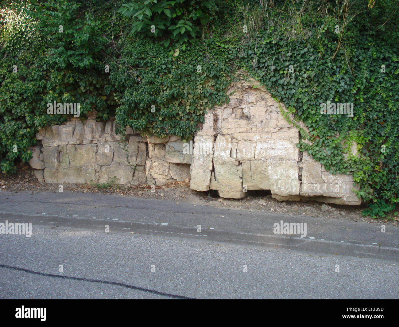 This geological illustration from the Nimberg collection presents ...