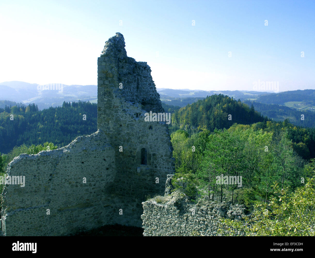 Ruttenstein Bergfried, a medieval tower ruin in Austria, stands as a ...