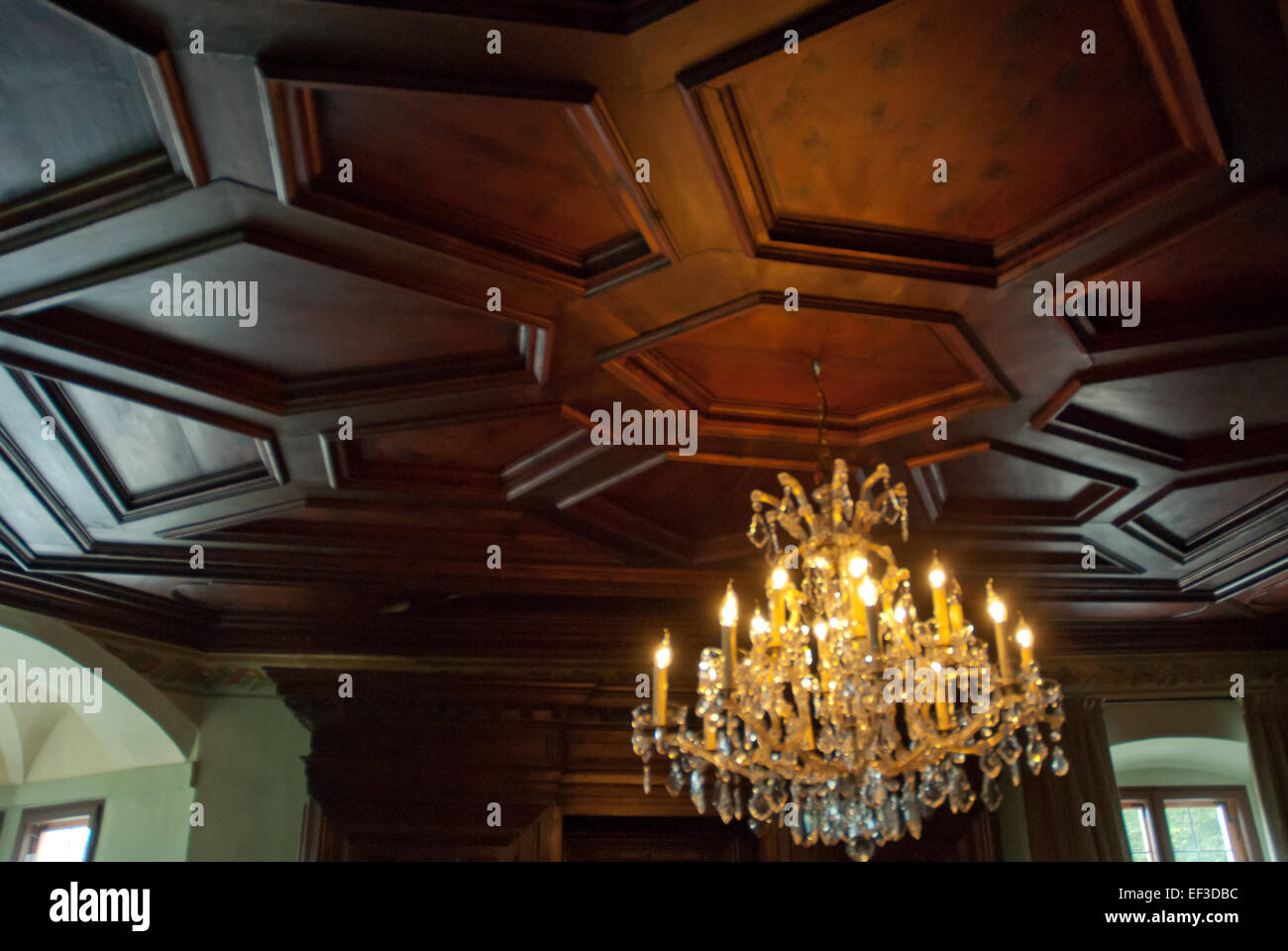 Design elaborate ceiling featuring hi-res stock photography and images ...