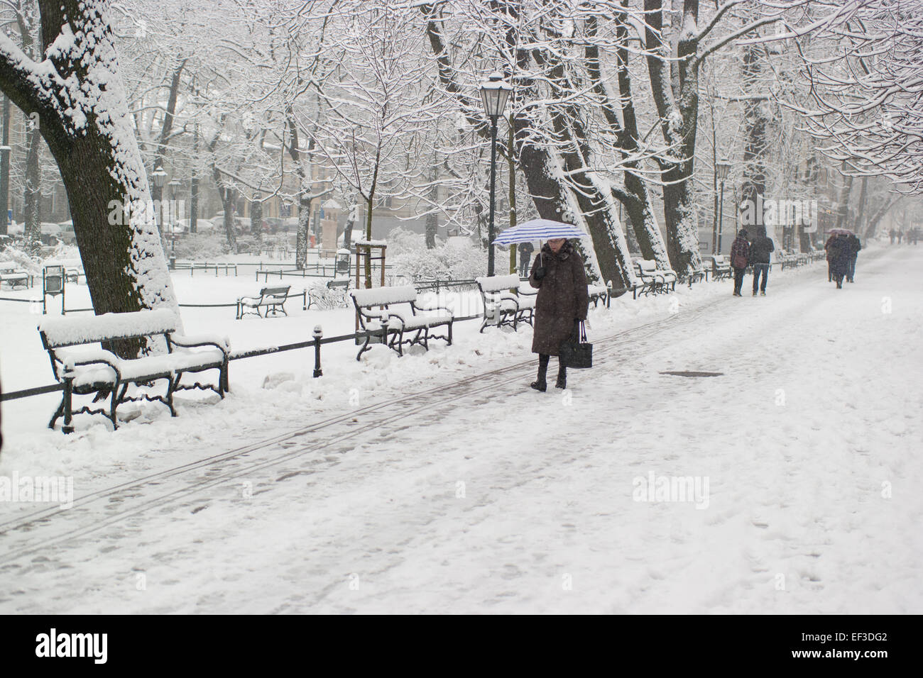 Krakow, Poland. 25th January, 2015. Poland Weather: The steady snowfall ...