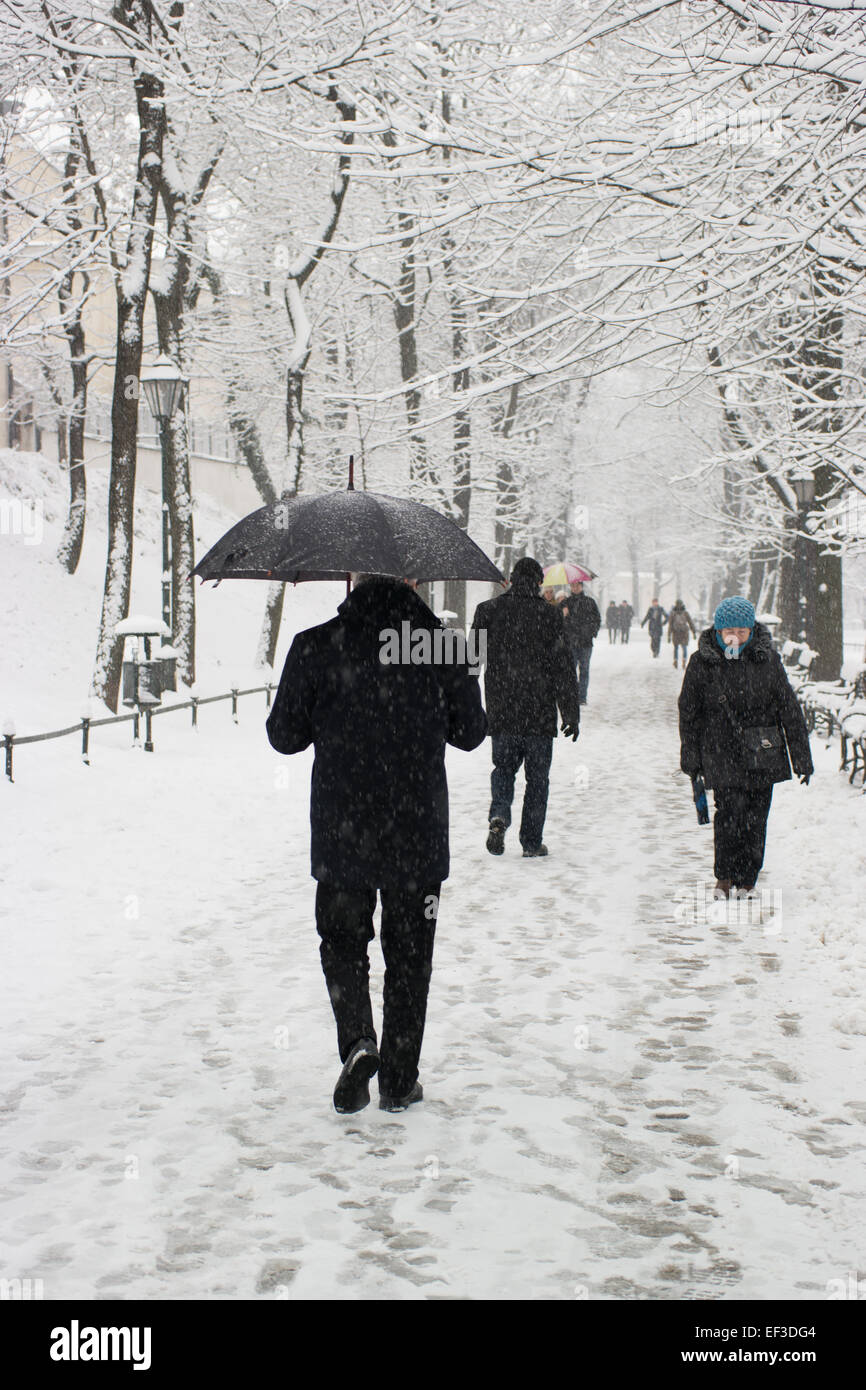 Krakow, Poland. 25th January, 2015. Poland Weather: The steady snowfall ...