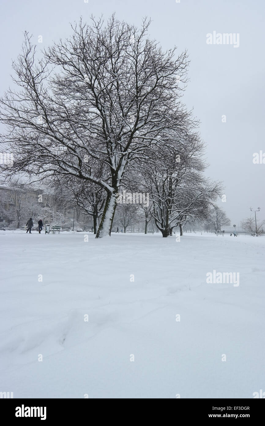 Krakow, Poland. 25th January, 2015. Poland Weather: The steady snowfall ...