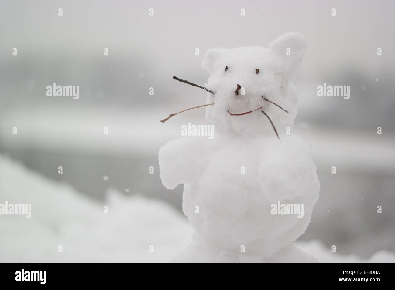 Krakow, Poland. 25th January, 2015. Poland Weather: The steady snowfall ...