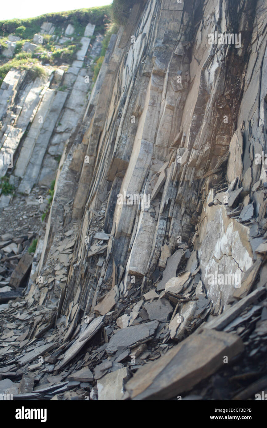 The Seefeld Formation is a geological feature, a set of rock layers ...