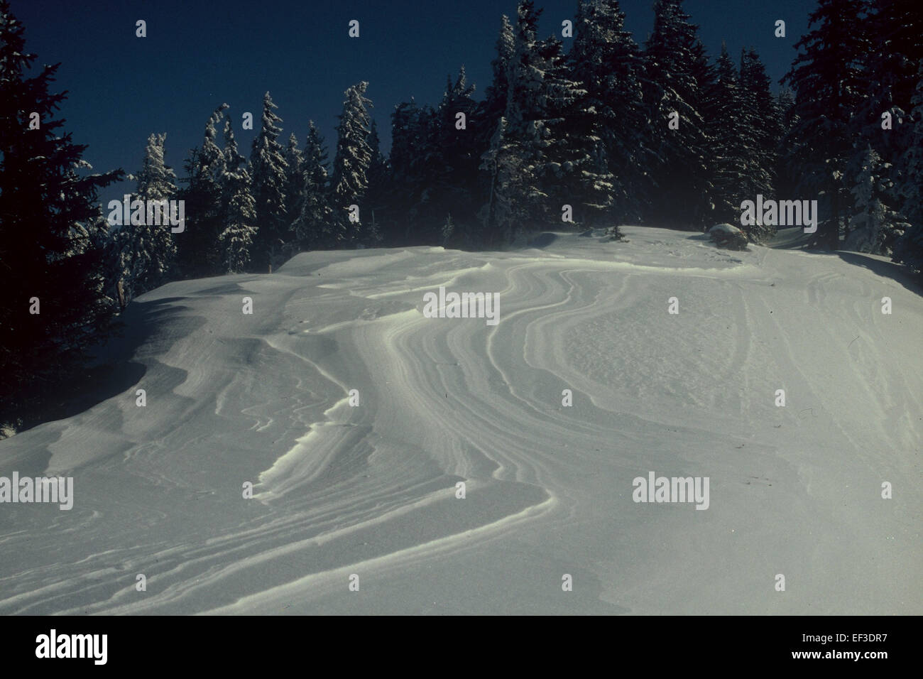 This image shows snow that has been shaped and eroded by wind ...