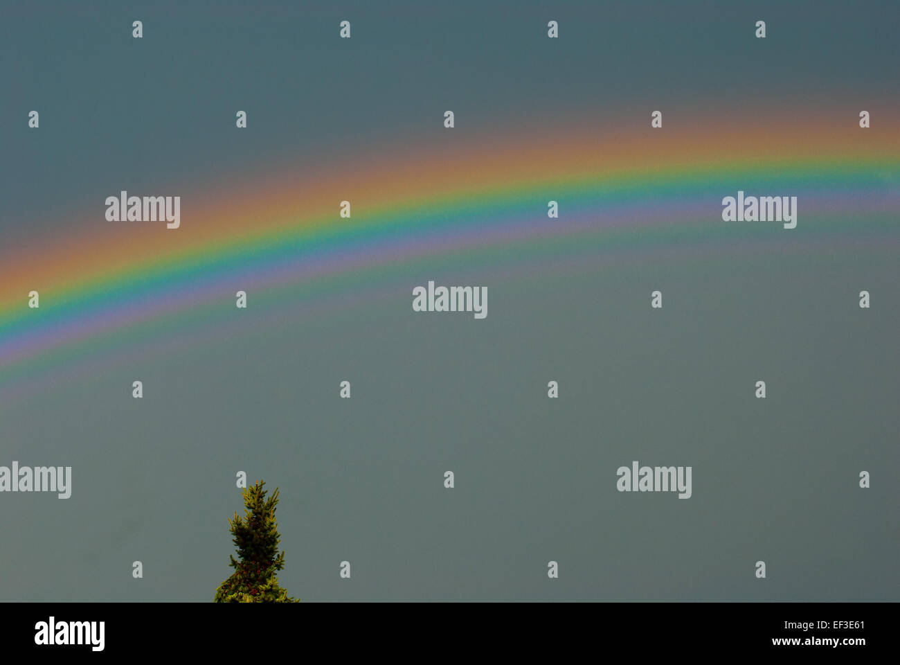 A supernumerary rainbow, a rare atmospheric phenomenon, is captured in ...