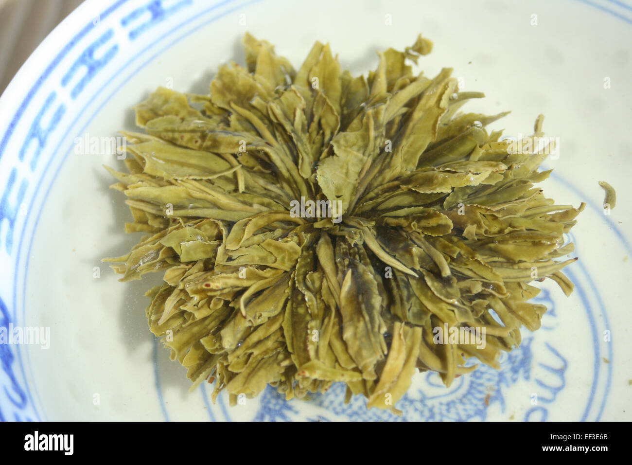 A depiction of a Chinese tea rose, reflecting the cultural and ...
