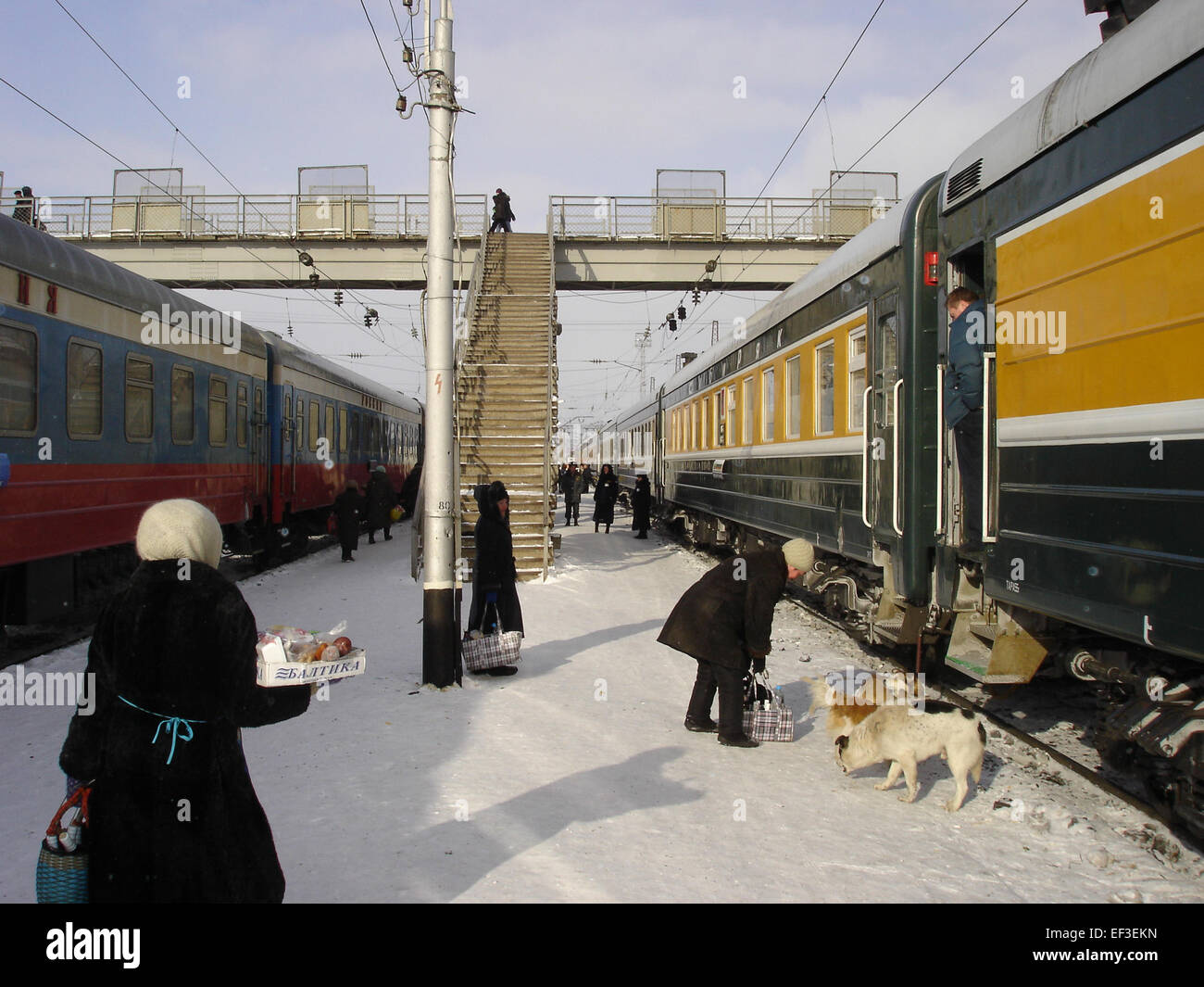 A photograph of two Russian trains, Rossija and Sibirjak, in Balezino ...