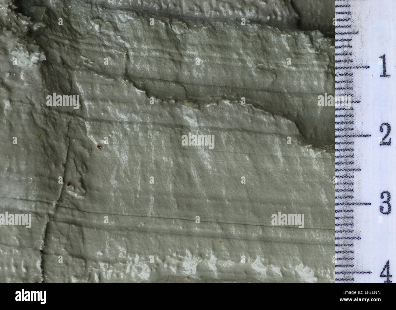 This macro photograph of vaved clay from Baumkirchen demonstrates the ...