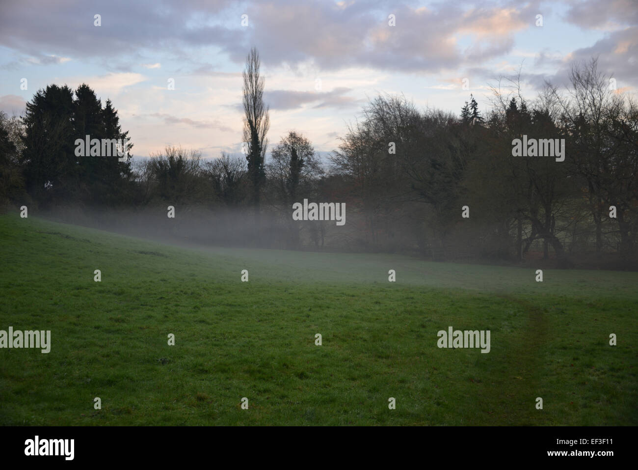 Cotswolds mist hi-res stock photography and images - Alamy