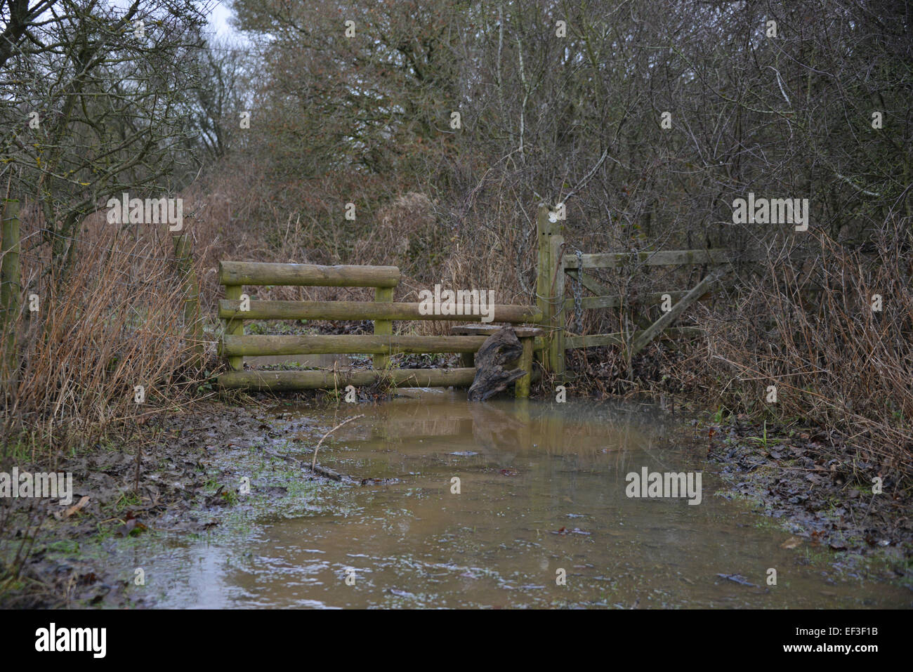 Waterlogged hi-res stock photography and images - Alamy