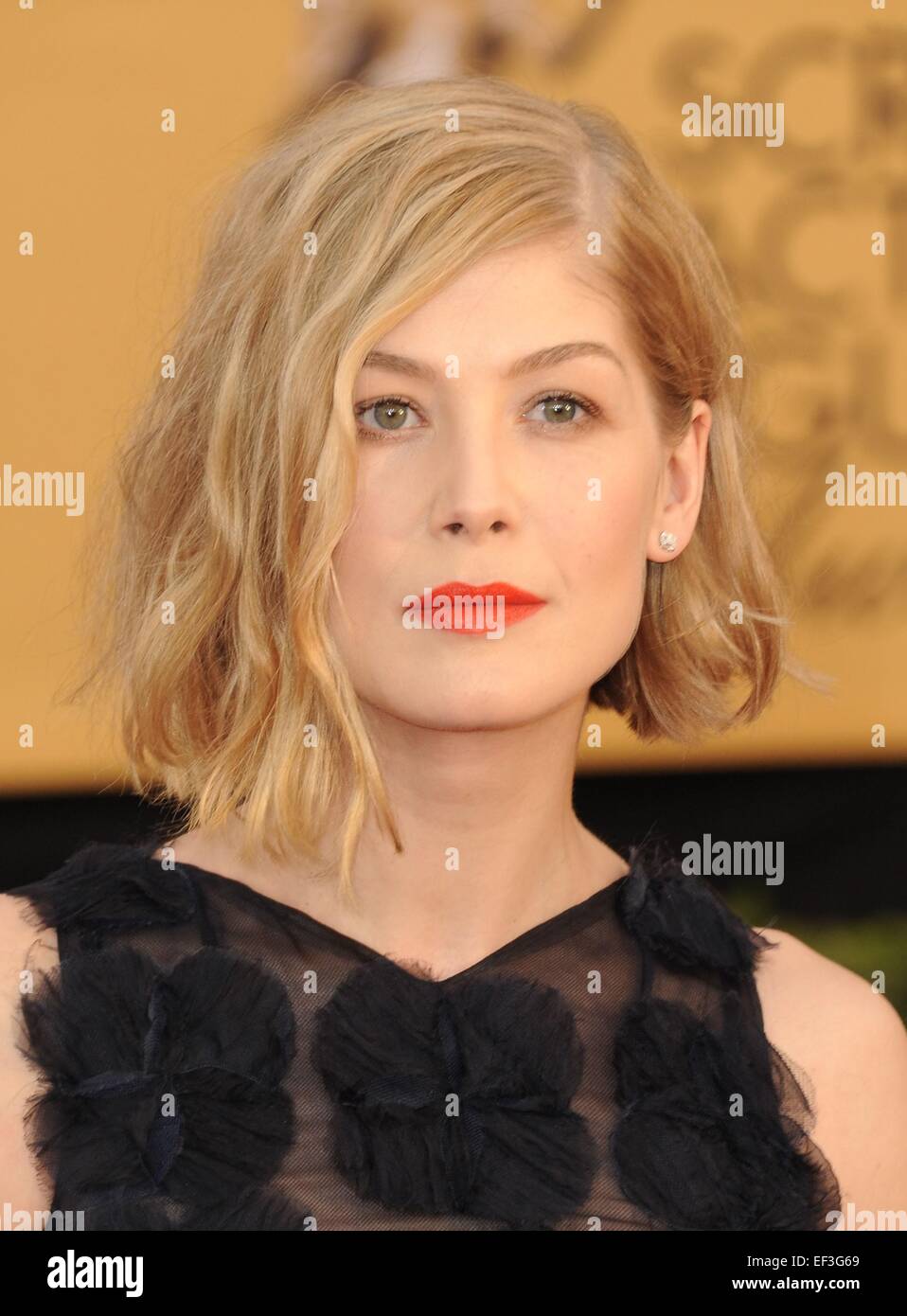 Los Angeles, CA, USA. 25th Jan, 2015. Rosamund Pike at arrivals for ...