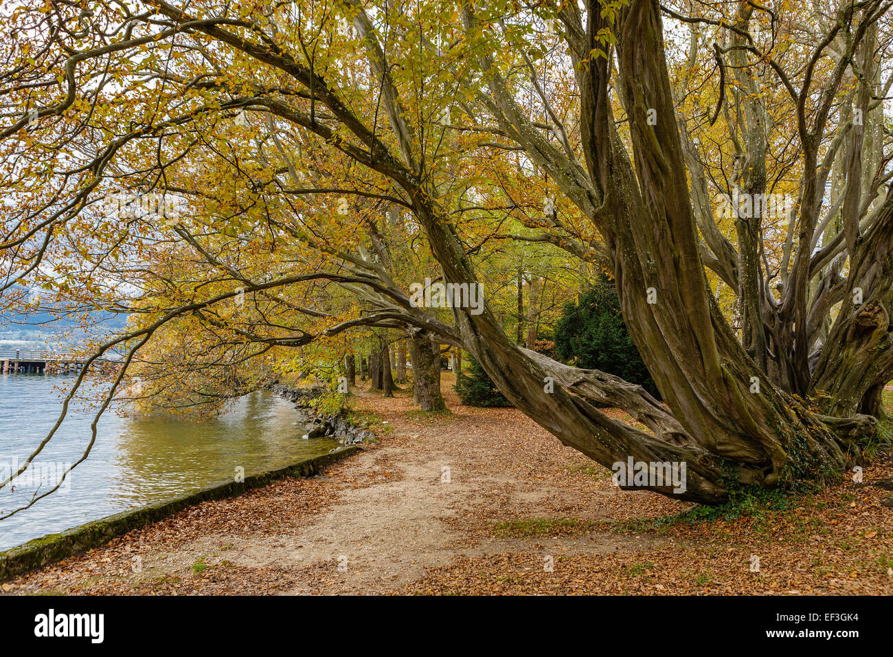Bank lake hi-res stock photography and images - Alamy