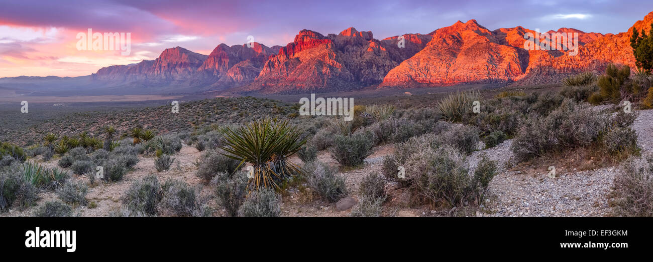 Panorama of Rainbow Wilderness Red Rock Canyon - Las Vegas Nevada Stock ...