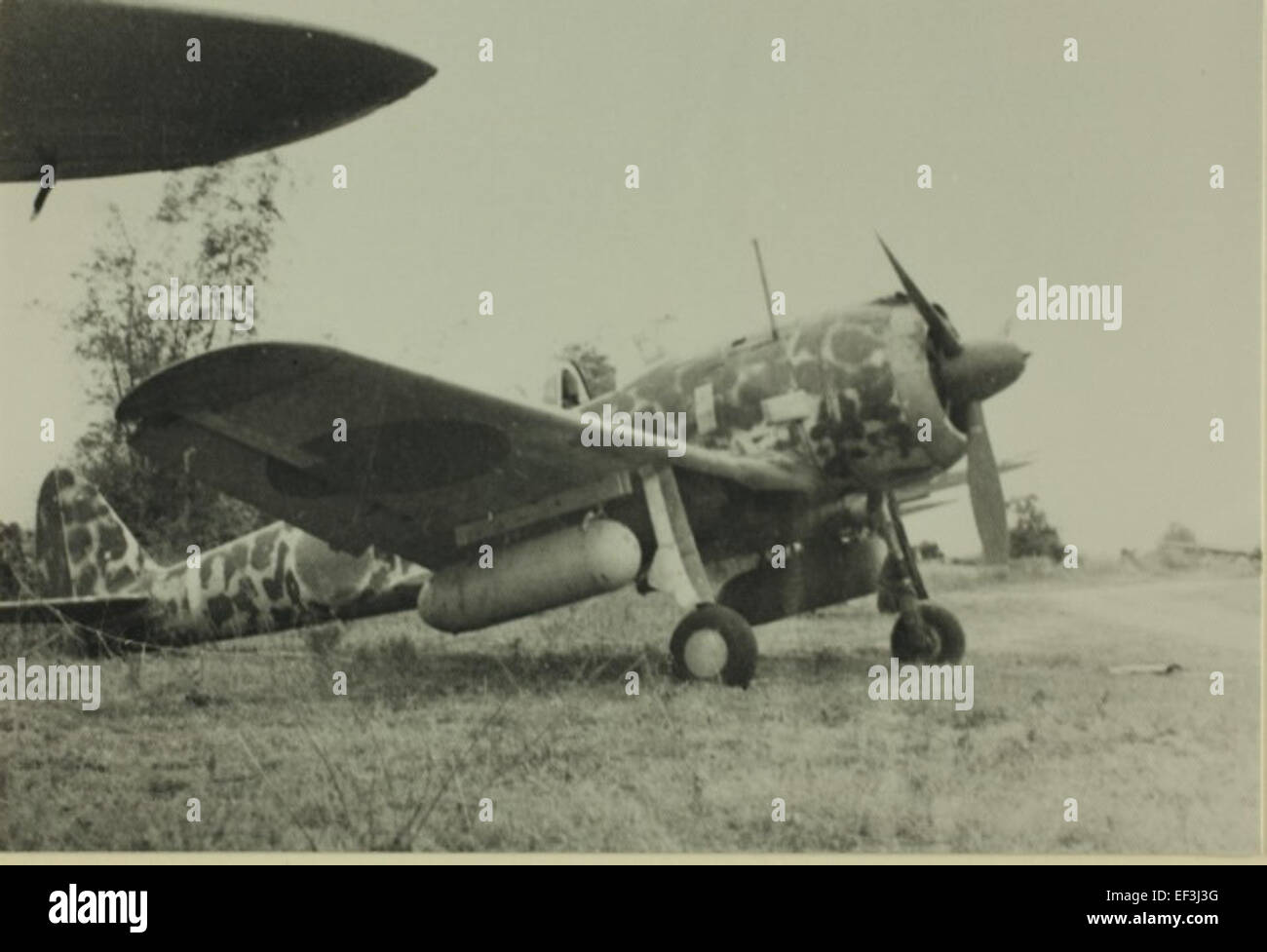 The Wagner Book 163 is a historical publication, focusing on the works ...