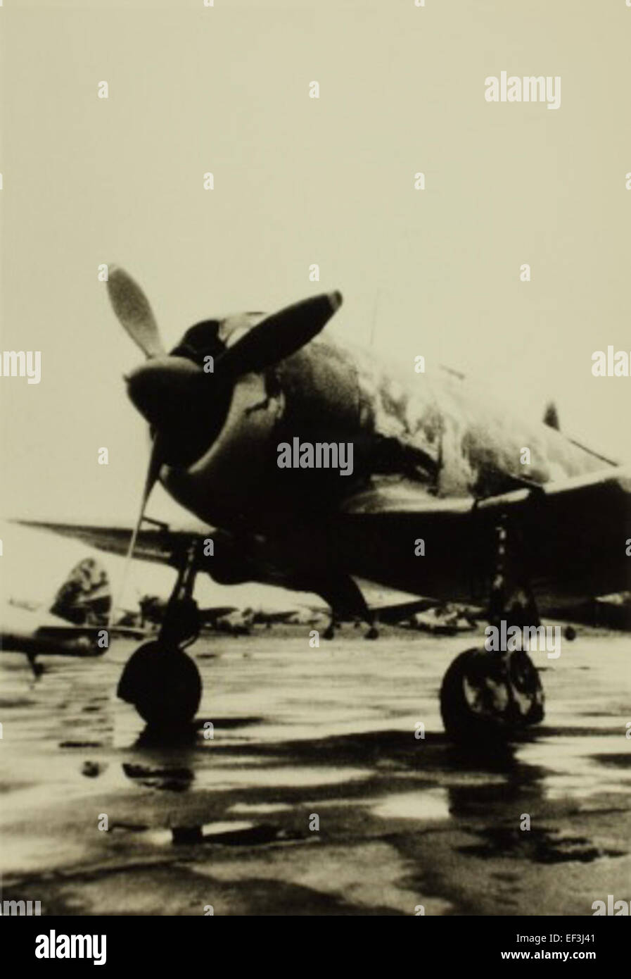 Wagner Book 163 Stock Photo - Alamy