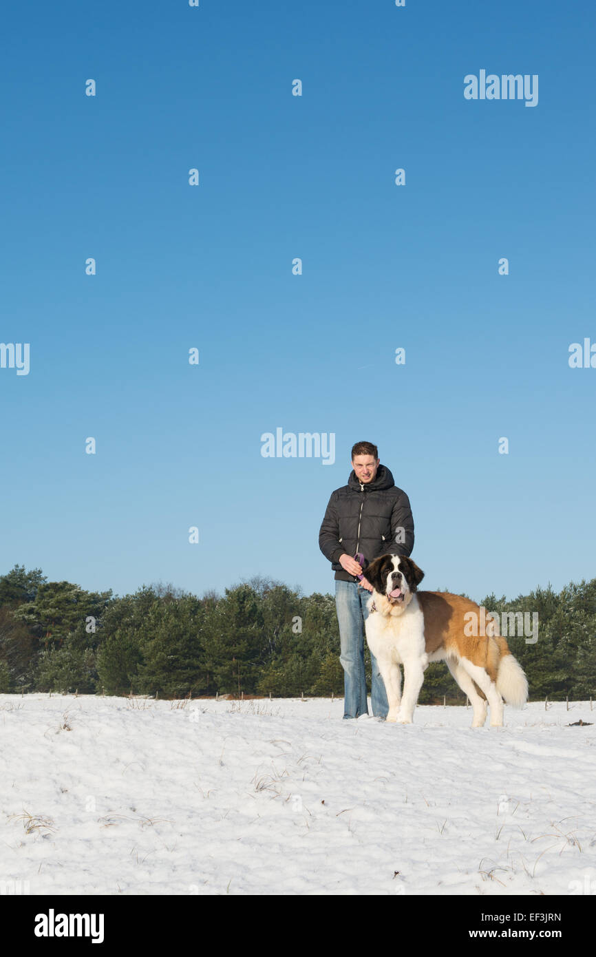Owner with big rescue dog in snow Stock Photo - Alamy