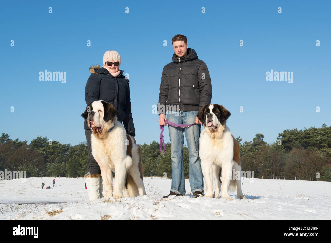 Big rescue hi-res stock photography and images - Alamy