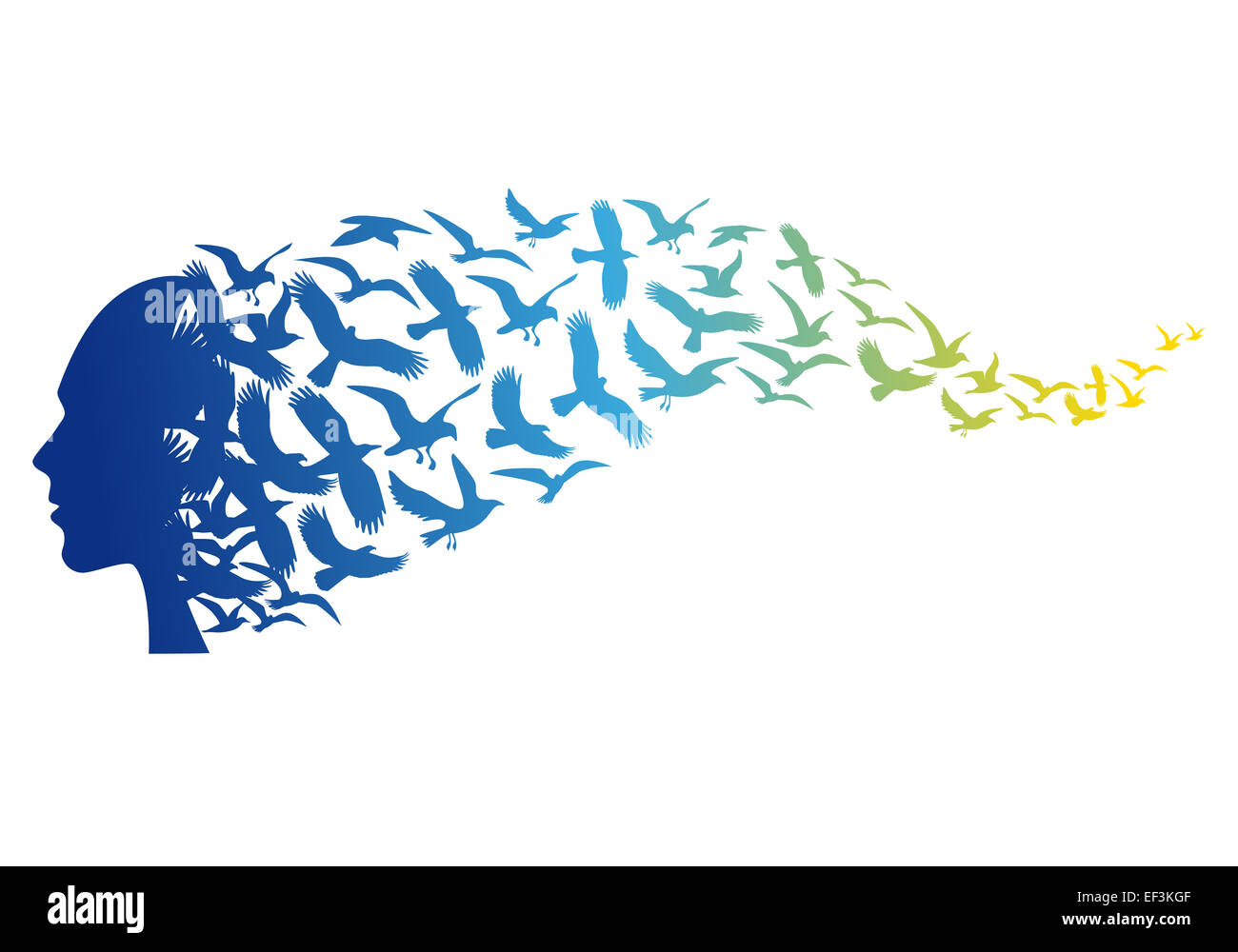 free spirit, head with colorful flying birds Stock Photo - Alamy