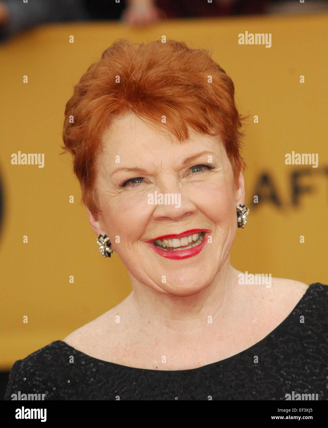 Los Angeles, CA, USA. 25th Jan, 2015. Beth Fowler at arrivals for 21st ...