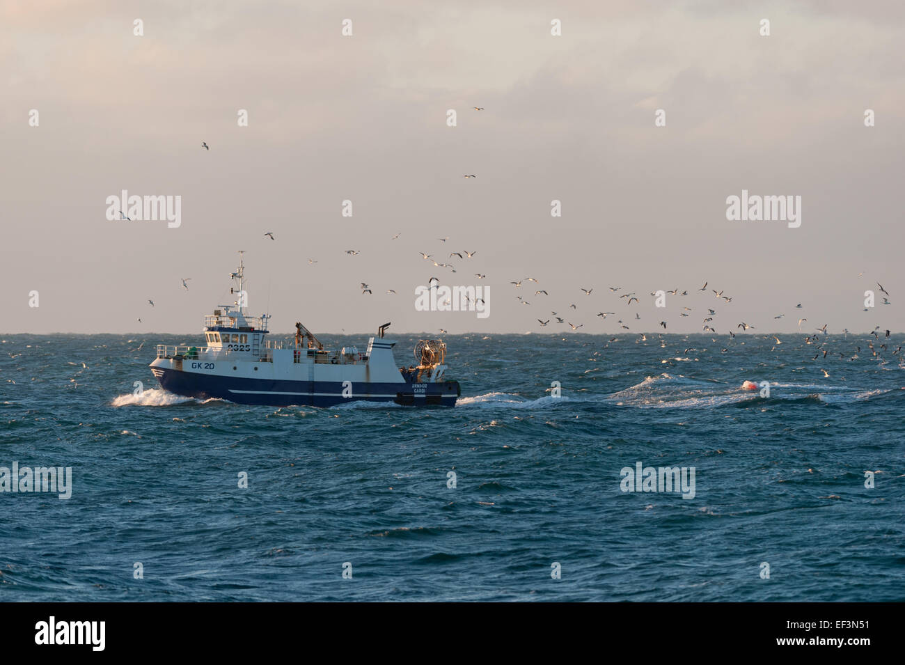Trawler seen between Sandvik and Hafnir, Iceland Stock Photo - Alamy