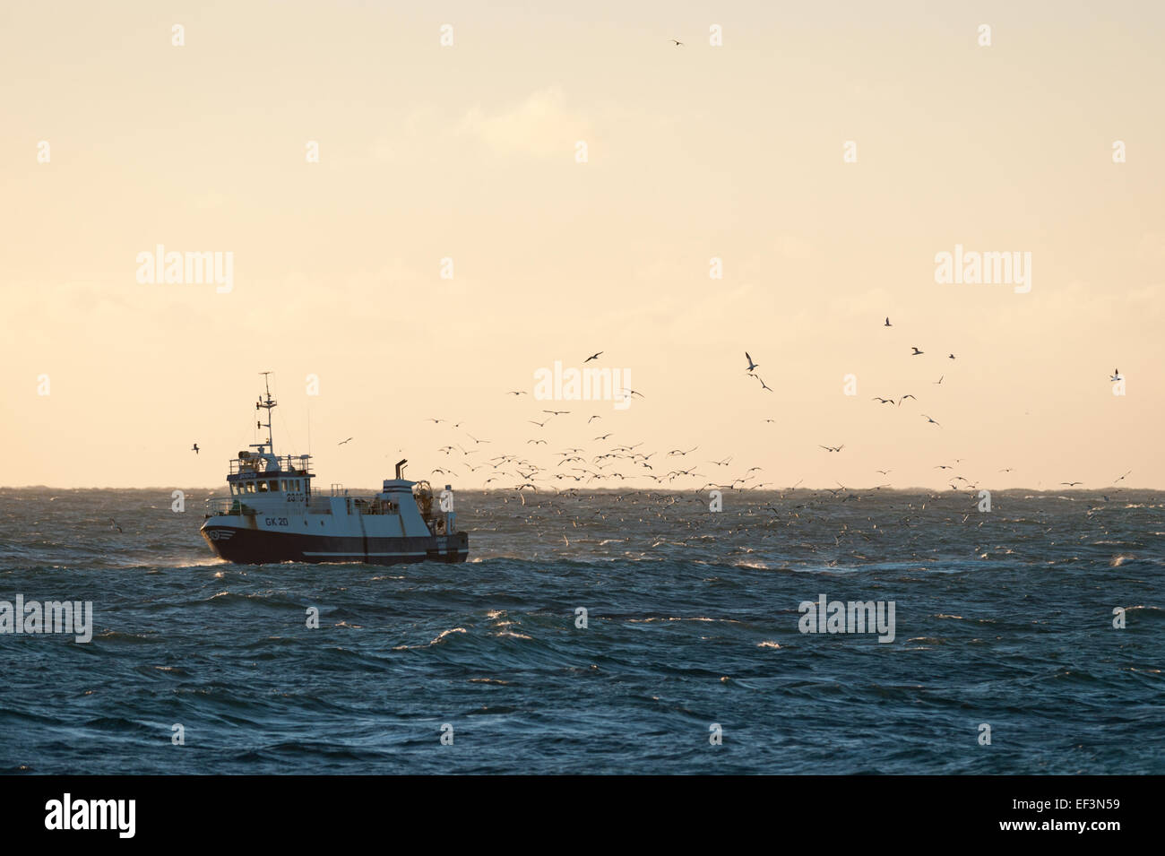 Trawler seen between Sandvik and Hafnir, Iceland Stock Photo - Alamy