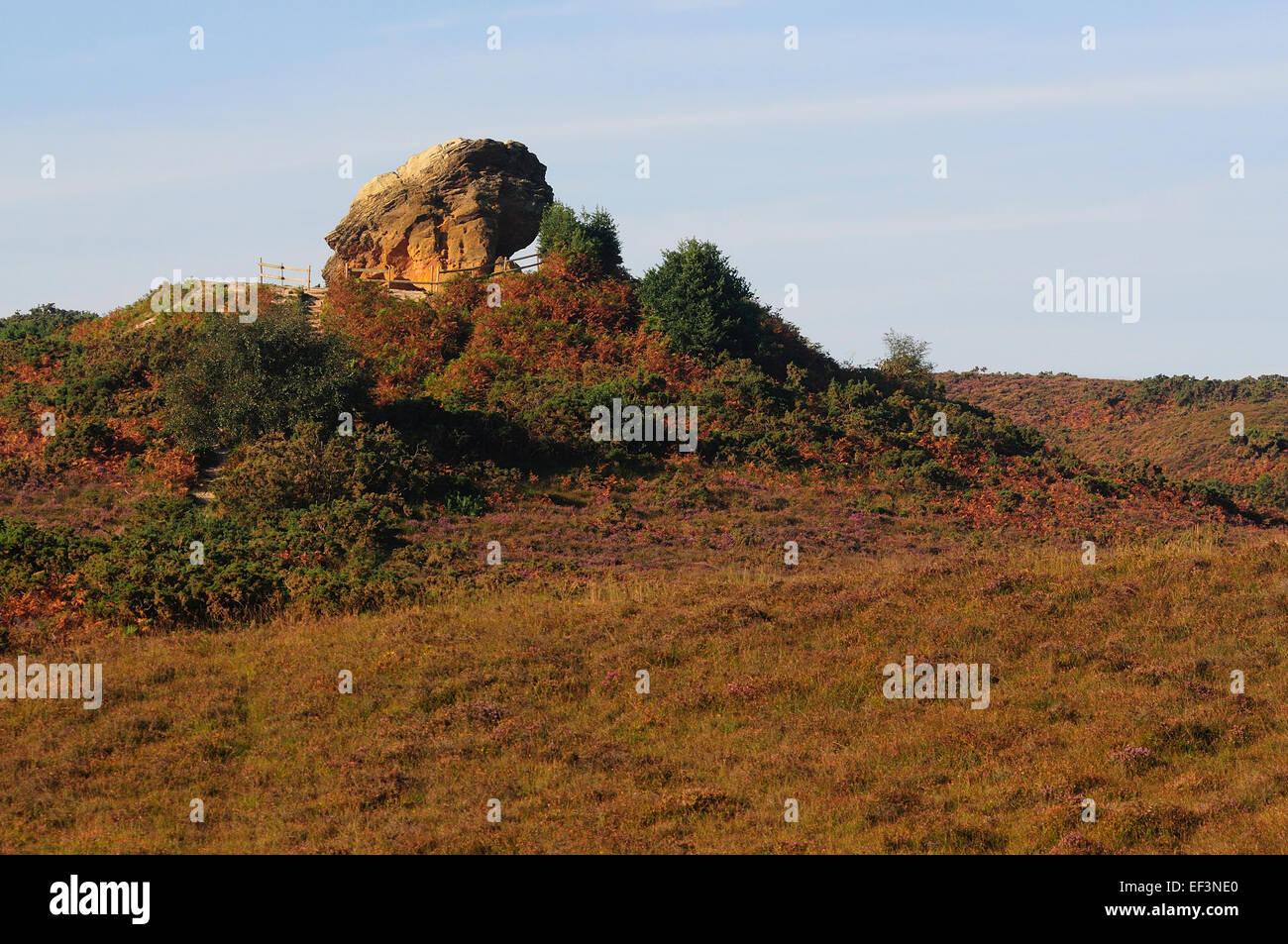 A view of the Agglestone at Godlingston Heath Dorset UK Stock Photo - Alamy