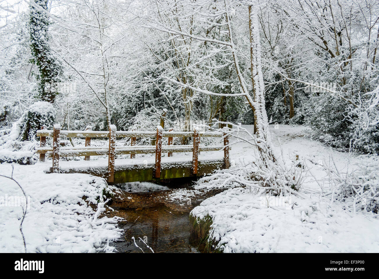 Wooden bridge over stream in snow Stock Photo - Alamy